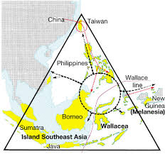 EcoSymbiont: Austronesian's Writing System
