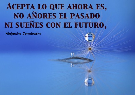 VIVE FELIZ AQUI Y AHORA: Vive el Presente