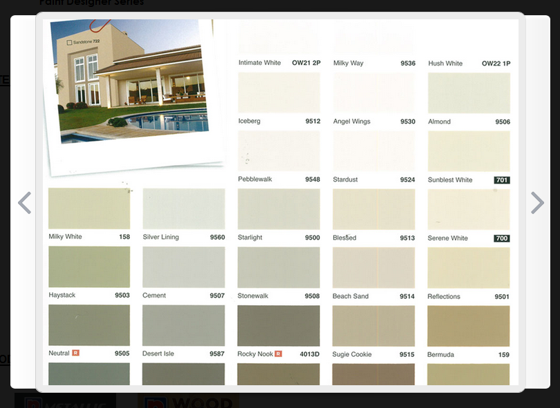 Day 20 Renovation Progress and Nippon Weatherbond Exterior Paint