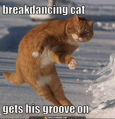 FUNNY BREAKDANCING kitties cat images photos pics - LOL CATS - 1 ...