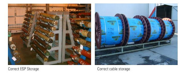 Electric Submersible Pumps: ESP Selection, Deployment and Operation