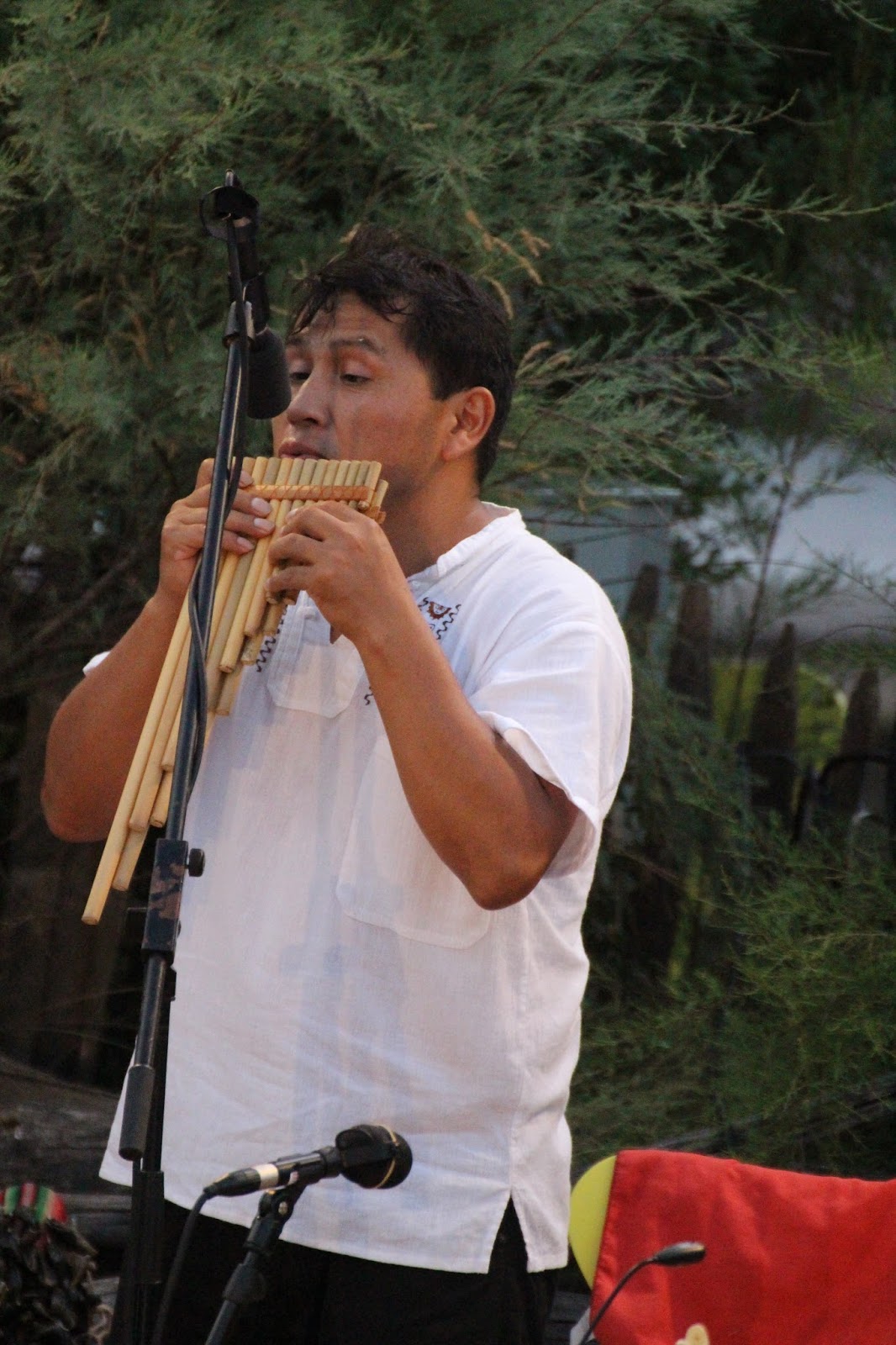 ARU: Wohlklänge für den Artenschutz/Nürnberg 2017 (Fotos: Mathias Hofer ...