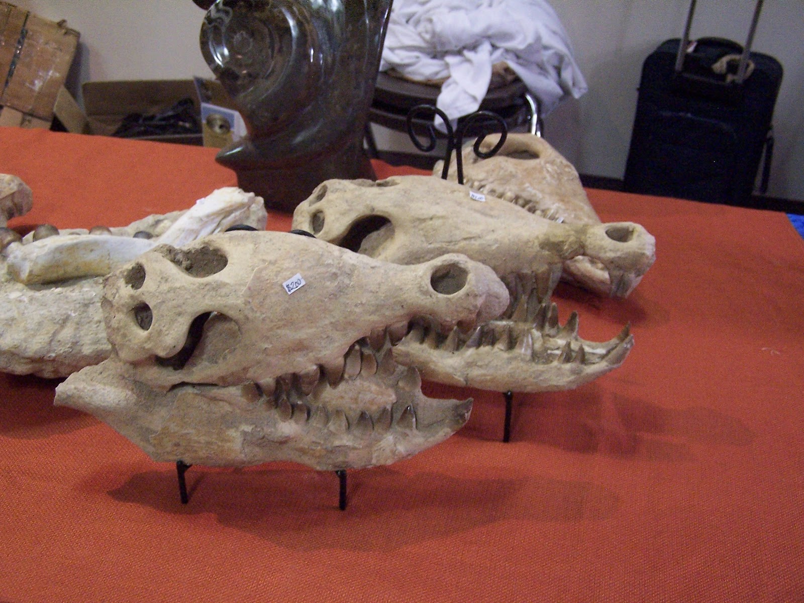 The Natural World: The Denver Gem and Mineral Show Part 2: The ...