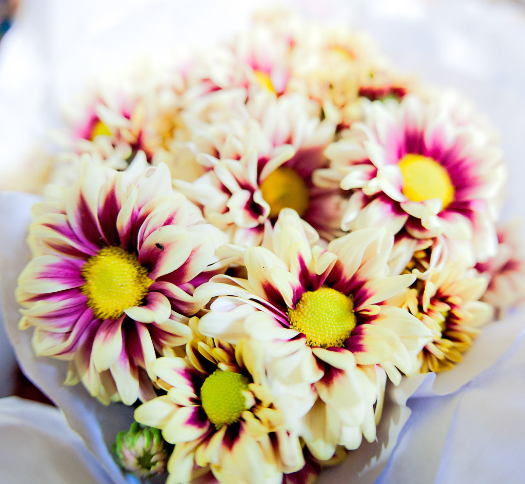 Pasar Bunga Kayoon / Kayun - Surabaya