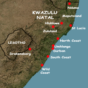 My English Intentions: The African Zulu Tribe...