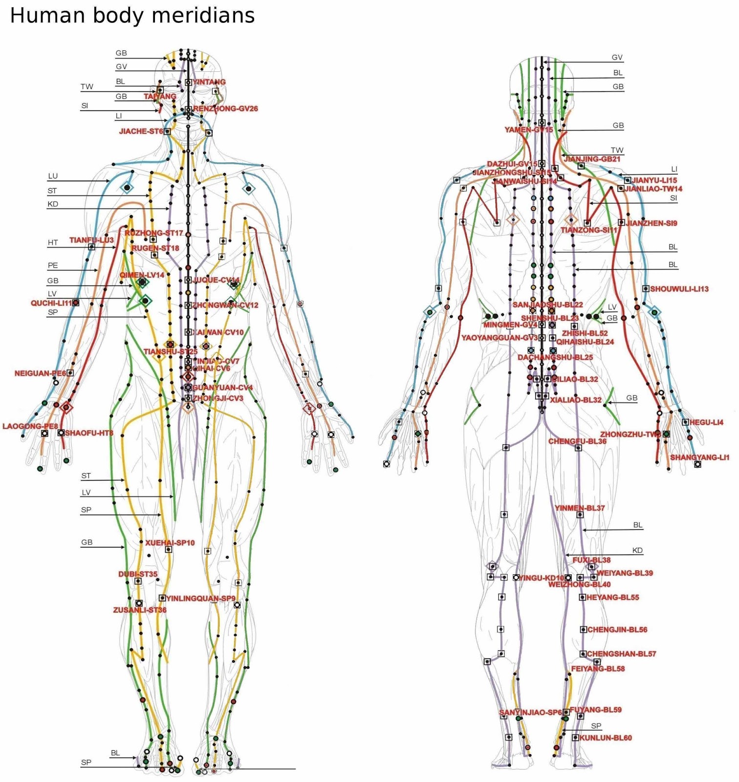 DamaiMedic Klinik Kota Kinabalu: OUR BODY'S COMMUNICATION SYSTEM ...