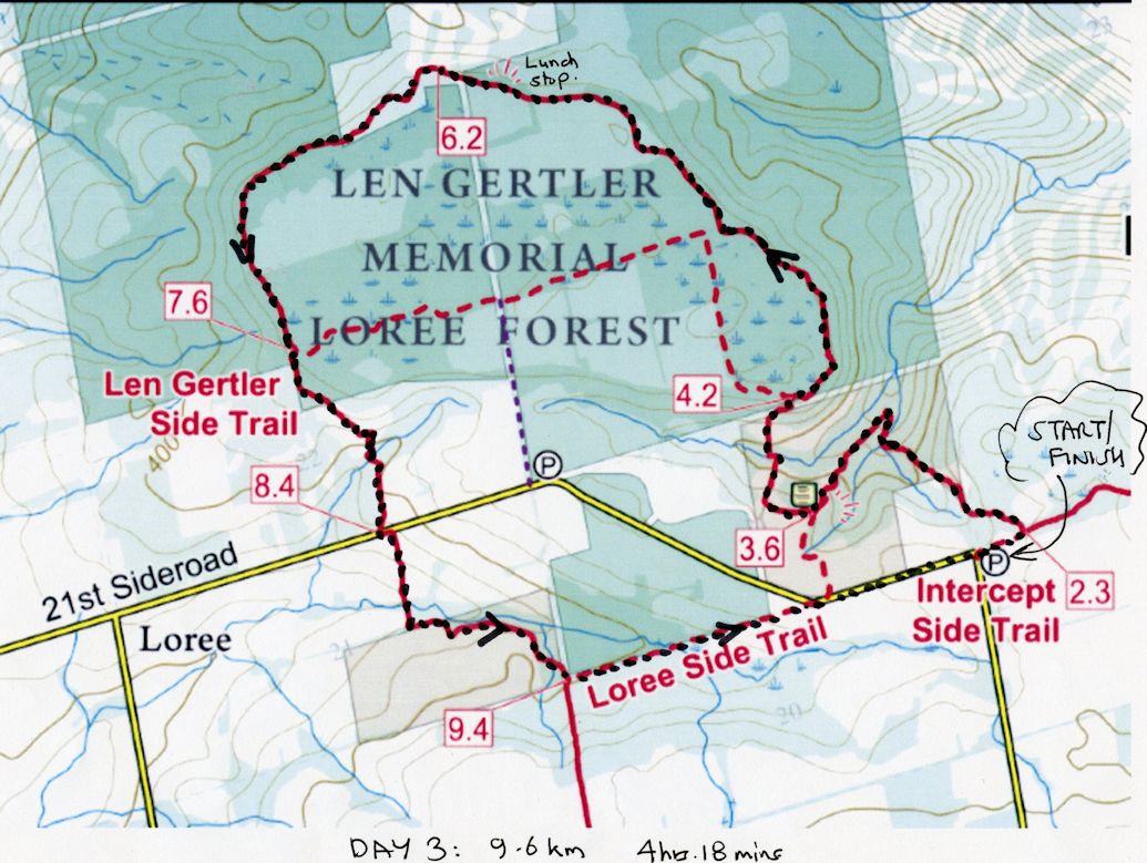 The Passionate Hiker: Snapshots from the Blue Mountains