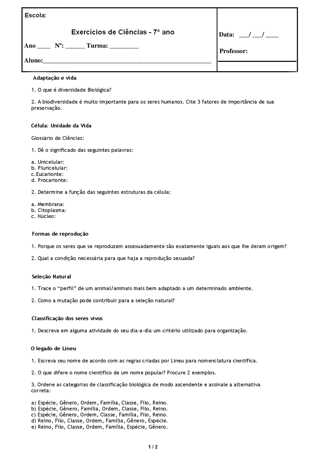 Atividades Sobre Estrutura Das Palavras 7o Ano Com Gabarito - Várias ...