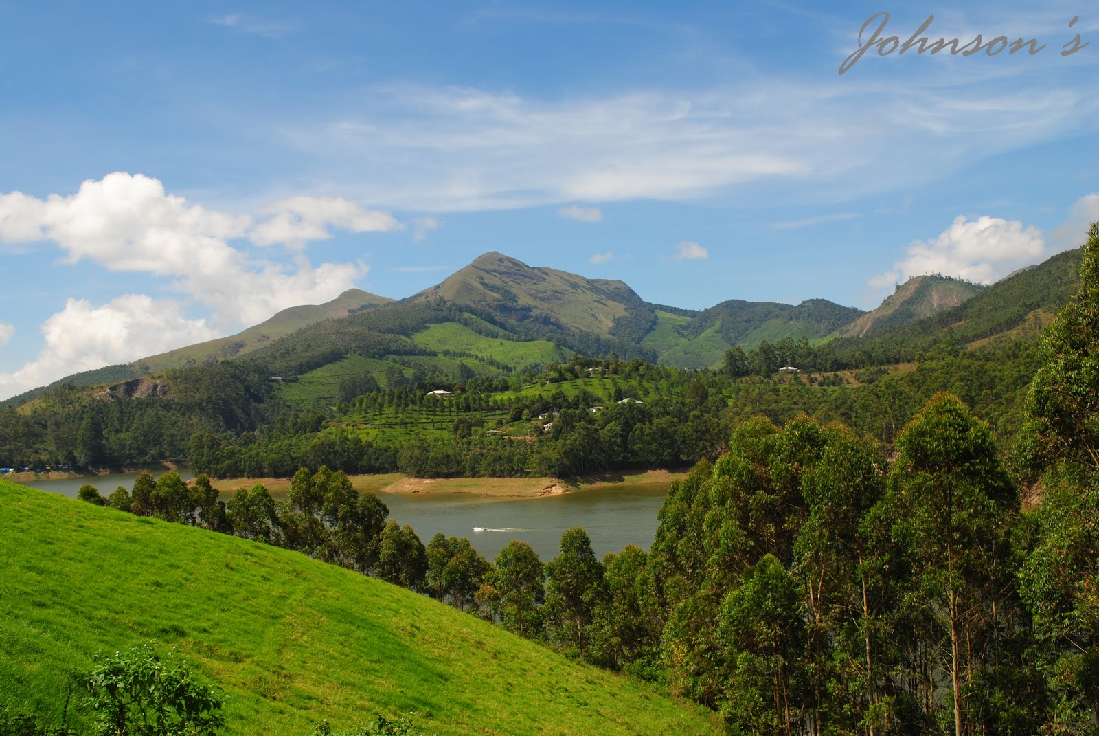 Johnson's: Munnar Hill Station