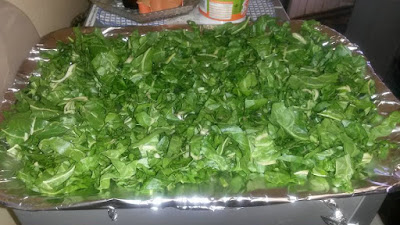 LEKKER RESEPTE VIR DIE JONGERGESLAG: SPINASIE GEVRIES