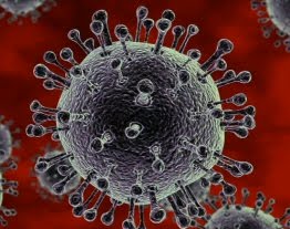 Deadliest Viruses in the World