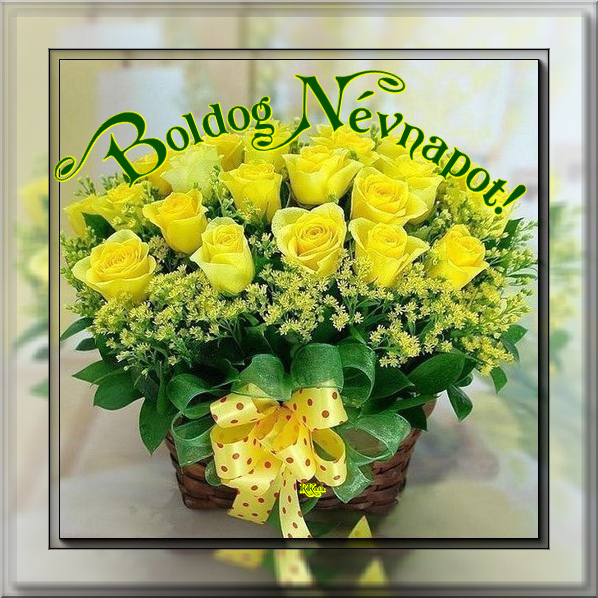 Kata képtára: Névnapra képeslapok