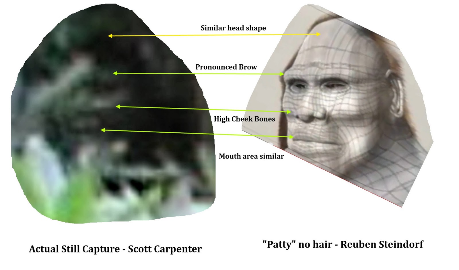 The Bigfoot Field Journal: The Human Side Of Bigfoot - Comparing the ...