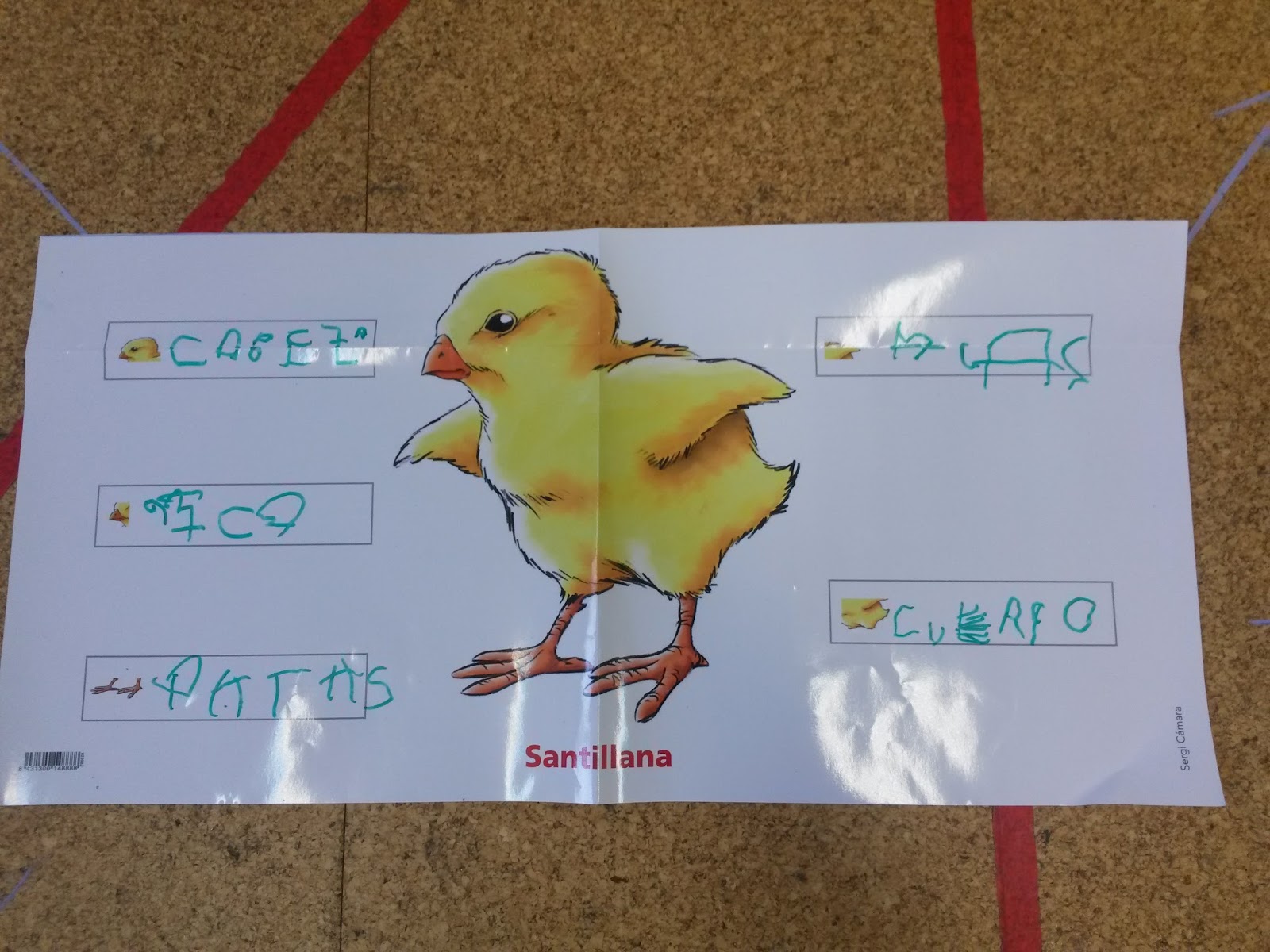 CAMINITOS DE ILUSIÓN: PROGRESANDO EN LA LECTOESCRITURA CON LOS POLLITOS