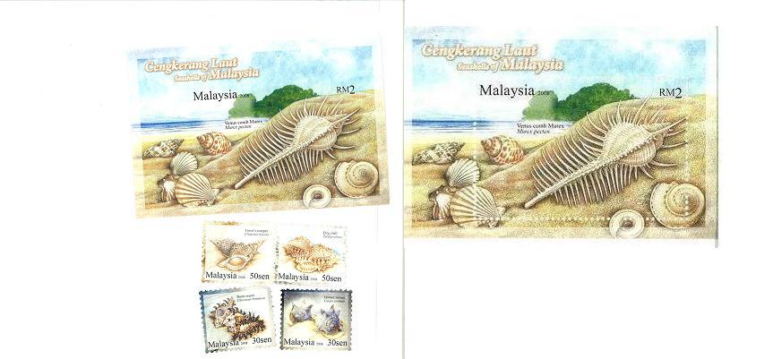ButterflyPostcardAndStamp: Sea Shells on the Sea Shore and on stamps