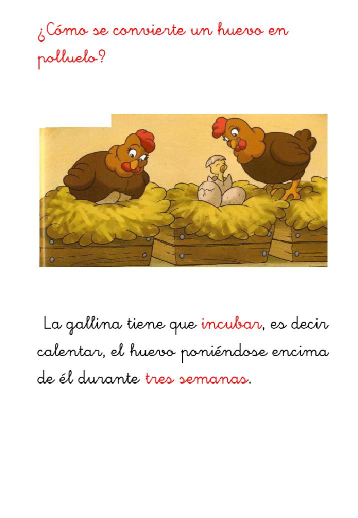 RECURSOS Y ACTIVIDADES PARA EDUCACIÓN INFANTIL: EL POLLO PEPE (Nick ...