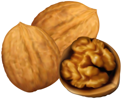 ® Colección de Gifs ®: NUEZ - WALNUTS