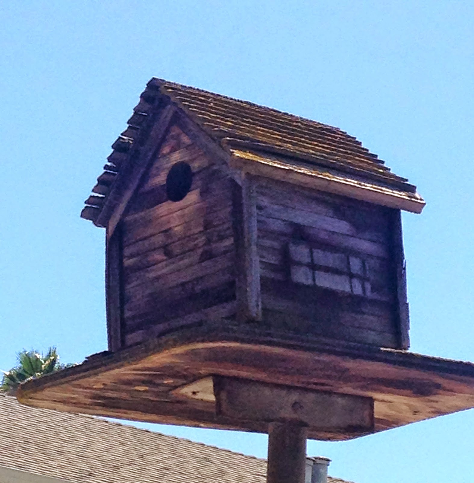 Medusa's Kitchen: This Slouching World