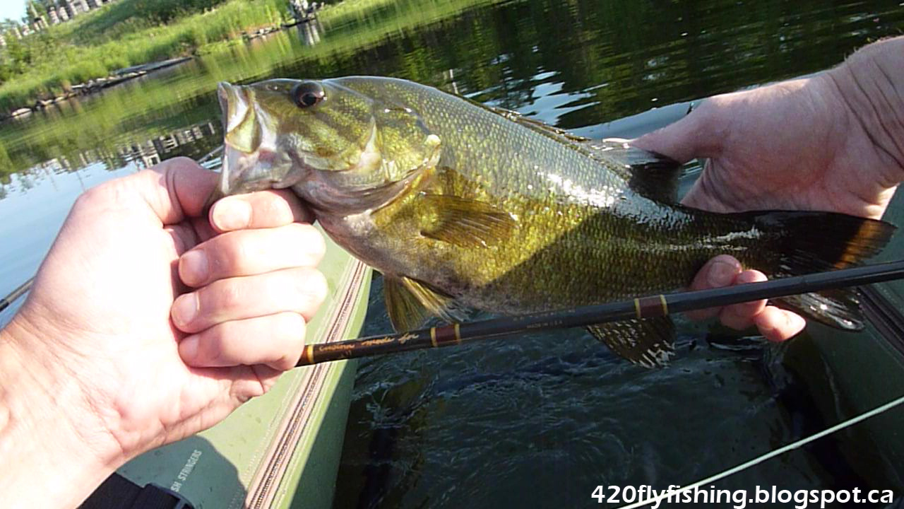 The Elliot Lake Flyfishing Blog.: Chamois Flys