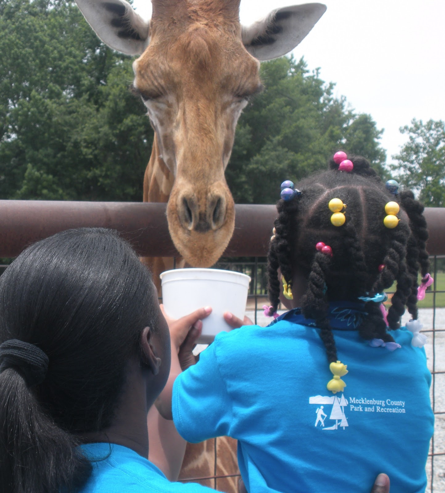 Make this Race Amazing