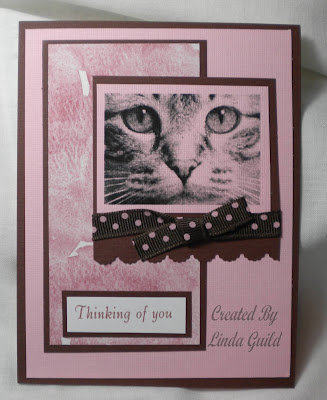 Nothin' Fancy: Cat's Face card