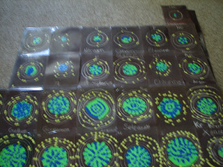 Science Matters: Periodic Table: Sticker Atoms