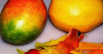 Mango Skin Allergy သရက္သီးခြံ အလာဂ်ီ