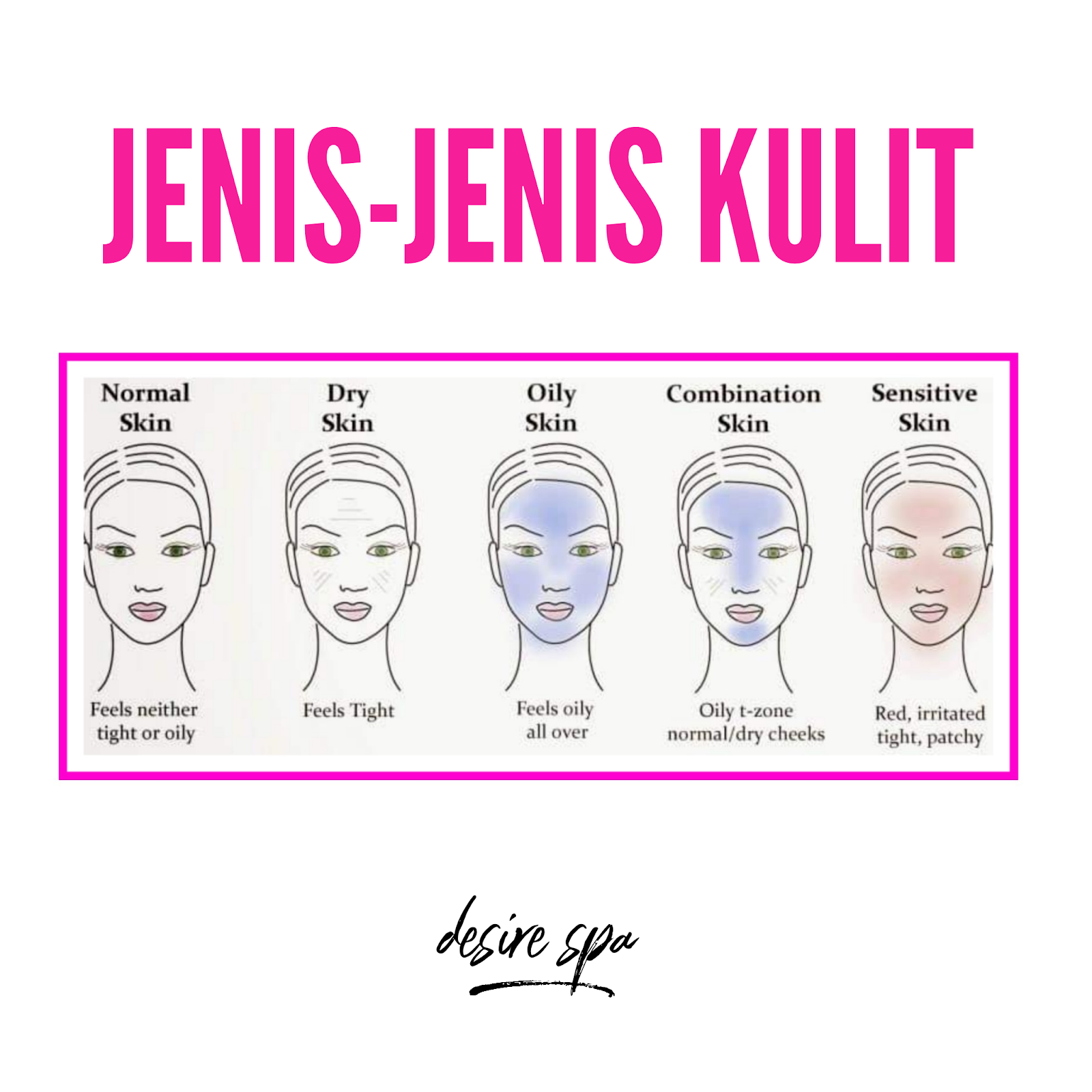 JENIS-JENIS KULIT