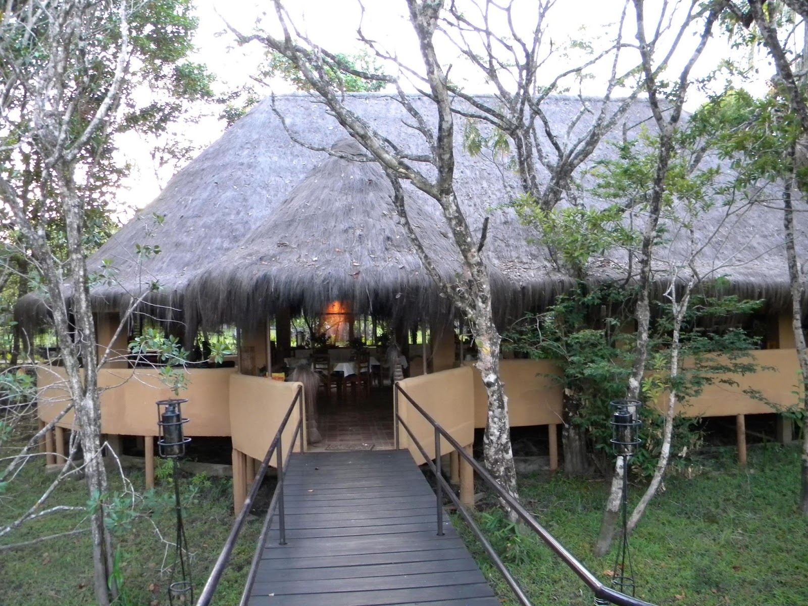 Los Viajes de Montenegro: Canaima: Magia en la selva venezolana.