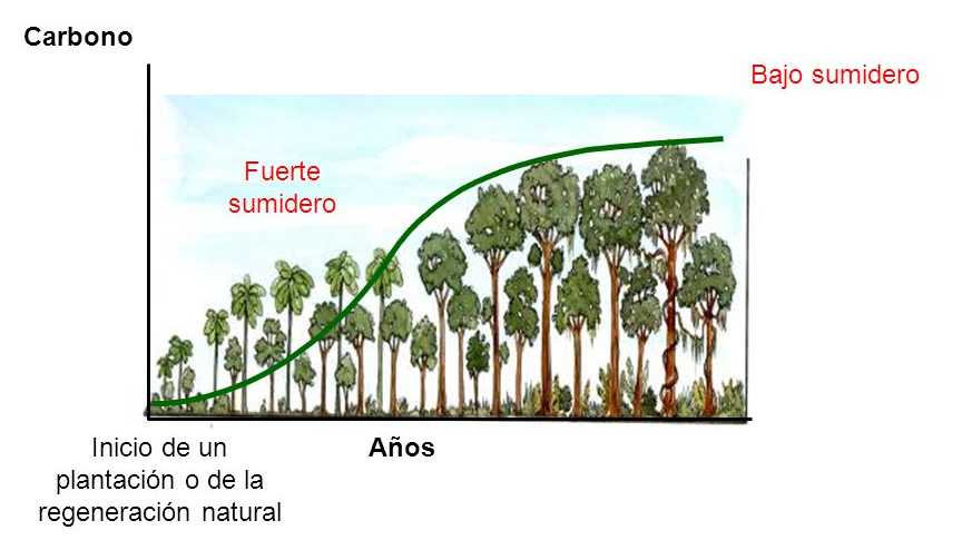 ECOLOGÍA