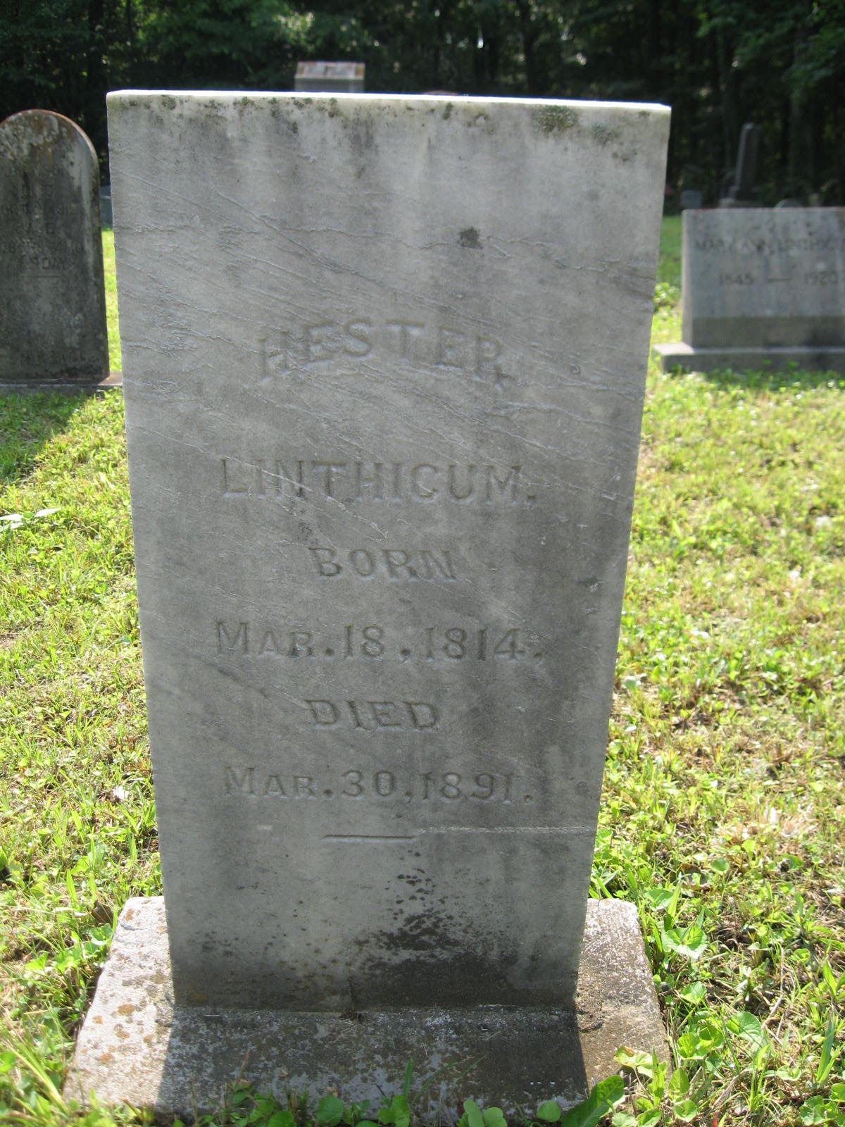 A Walk Through The Tombstones: Linthicum Cemetery