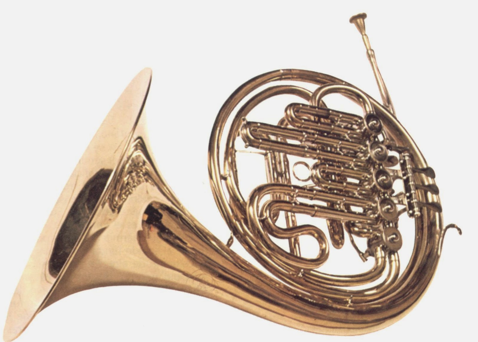 INSTRUMENTOS DE METAL: TROMPA