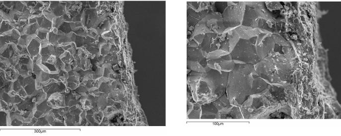 Metallurgical Failure Analysis: การกัดกร่อนตามขอบเกรน (Intergranular ...