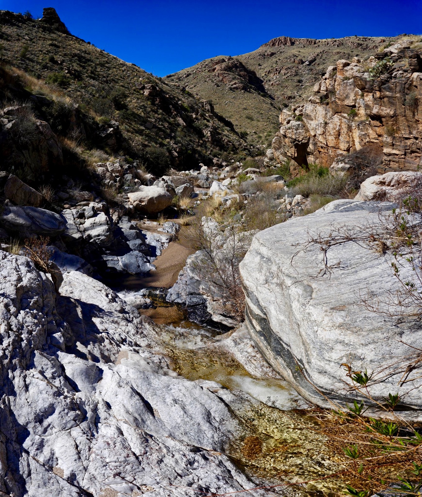 Earthline: The American West: Soldier Canyon, Pusch Ridge Wilderness