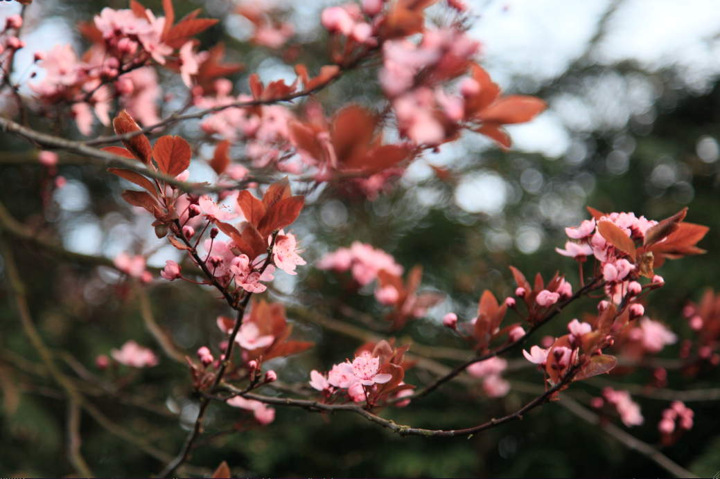 Ness Photography Level2: Research - Linda Hackett for theme 1