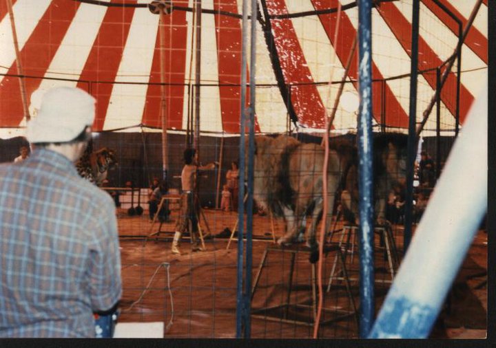 ..Circus Anonymous..: ..Ford Bros Circus 1982..