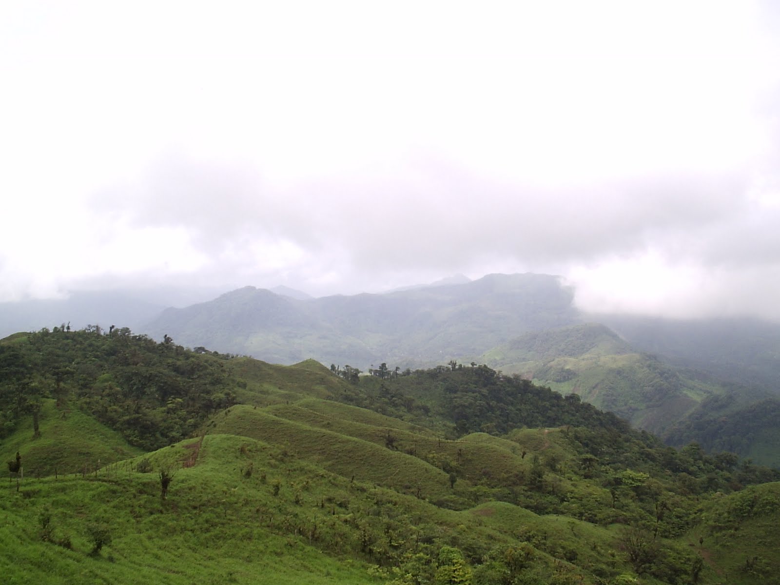 Montañismo en Panama: Cerro Congal