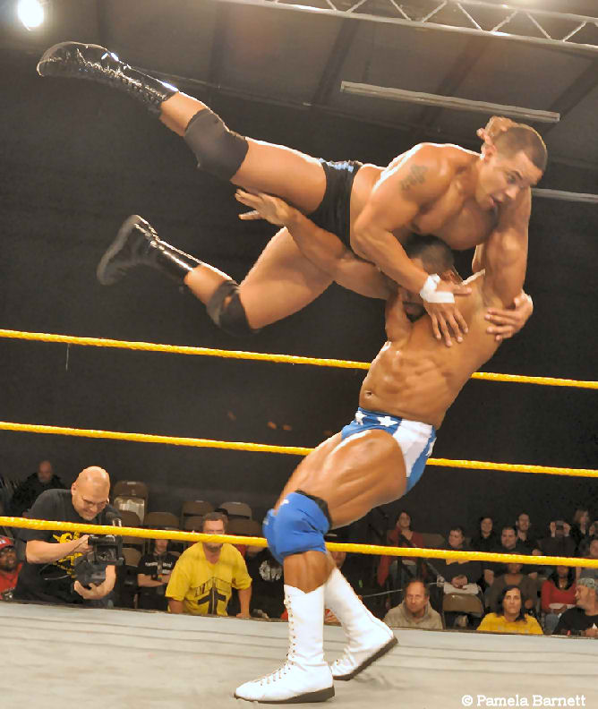 Beefcakes of Wrestling: Wayne's World