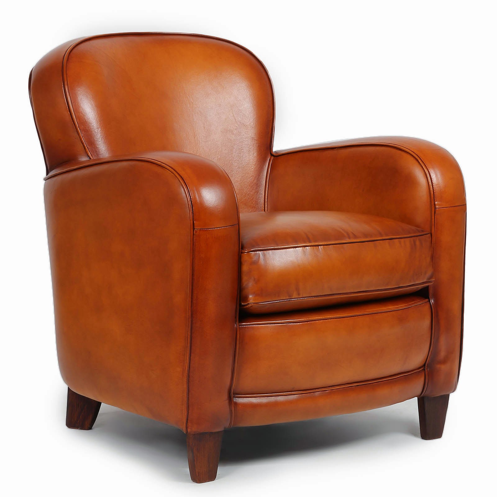 French Vocabulary Illustrated: basané