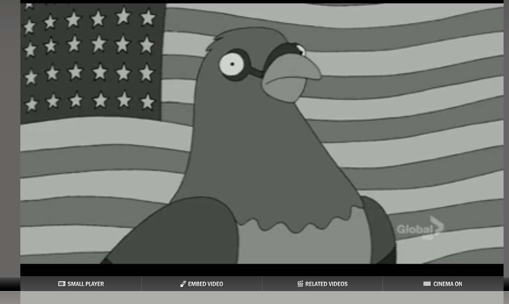 Fanatical about Pigeons