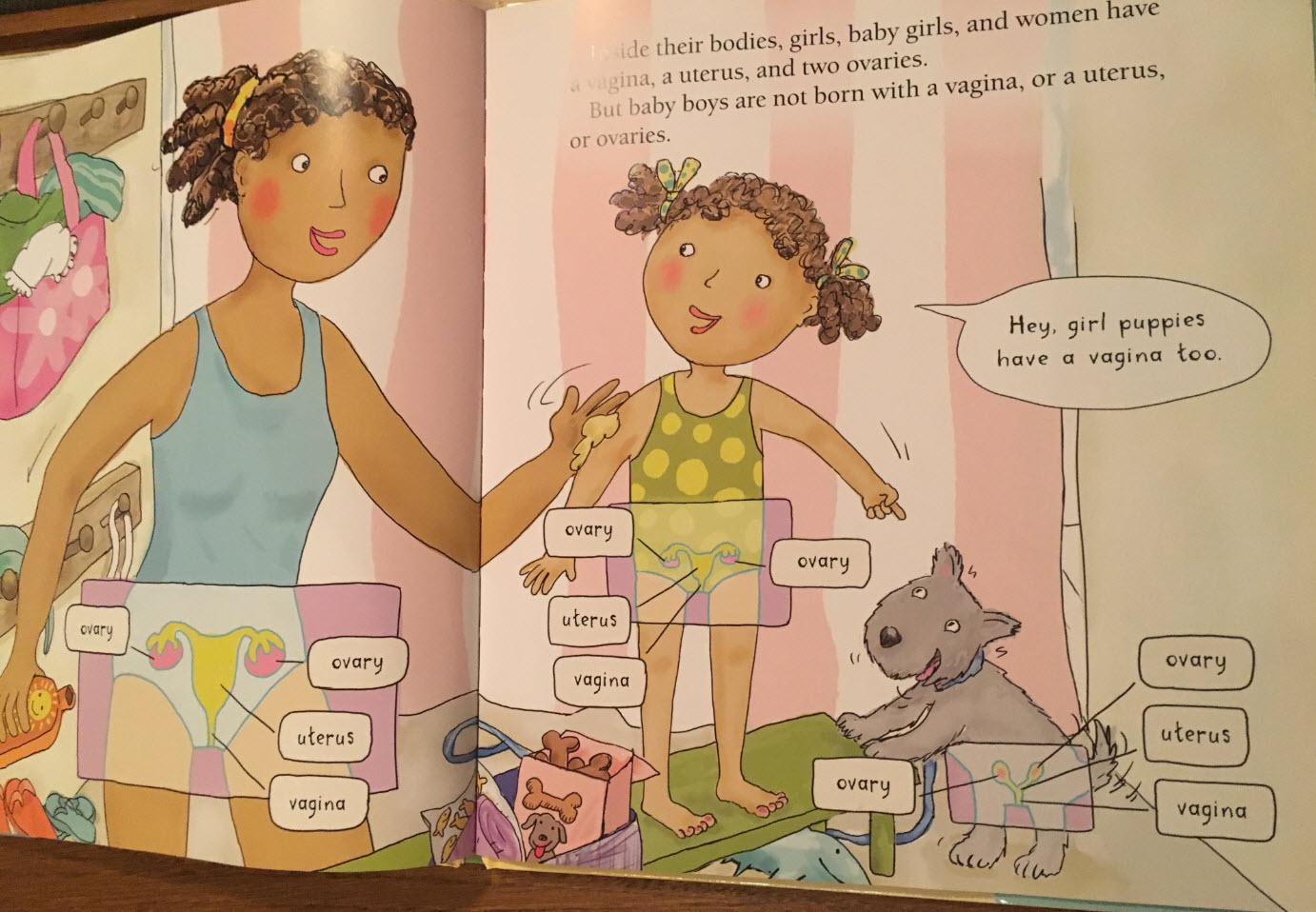 DADS READ: "Who Has What" by author Robie H. Harris and illustrator ...