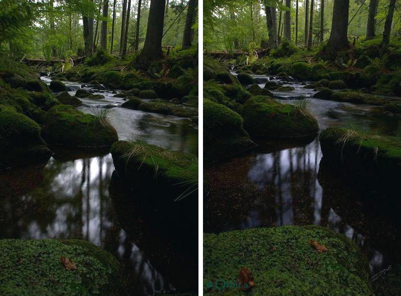 Orbica: Using a circular polarizing filter and ISO H