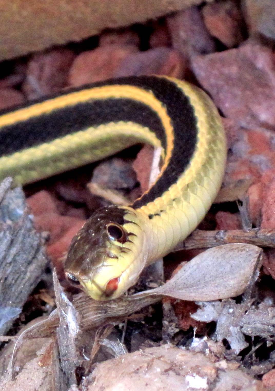 A Delightful Surprise!