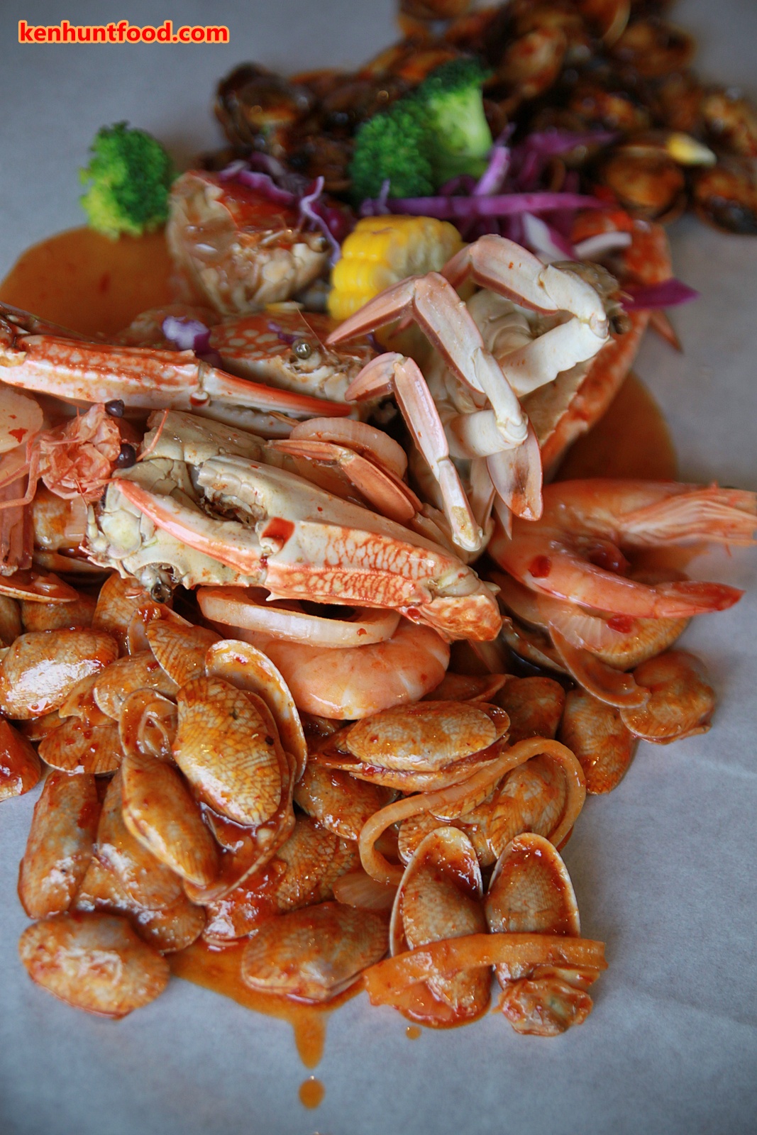 shell out fizzy cafe - Dylan Nolan