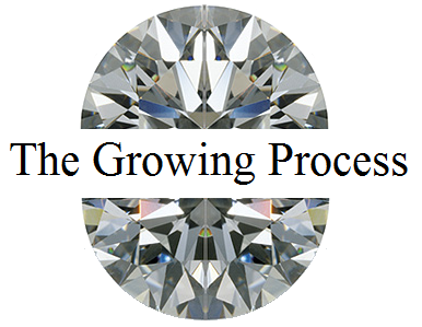 Larog Daily Diamond: Pure Grown: A Revolution in Diamonds
