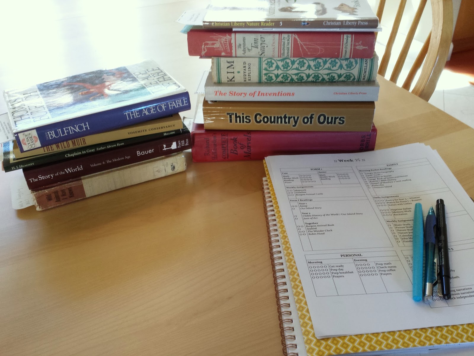 Joyous Lessons: My Weekly Planning + Pre-Reading Session
