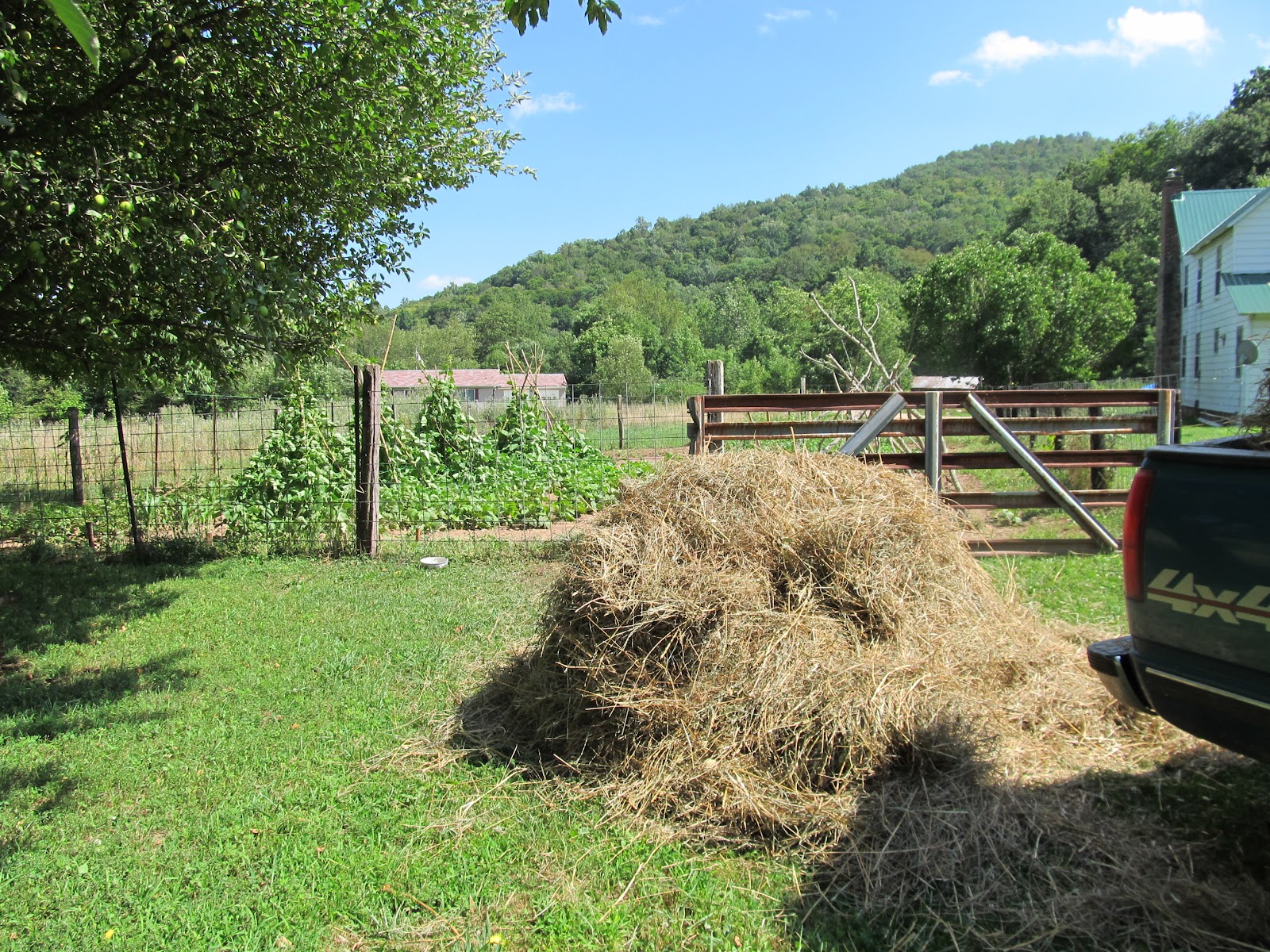 A Good Hay Day and a Rabbit-Proof Fence -by Erica at High Rocks - Grow ...