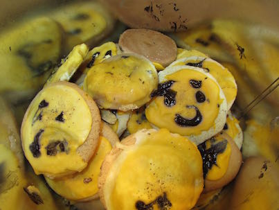 creative savv: How not to waste a batch of failed cookies