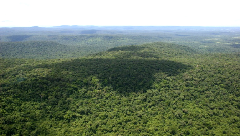 DynamicCambodia: Forest in Cambodia