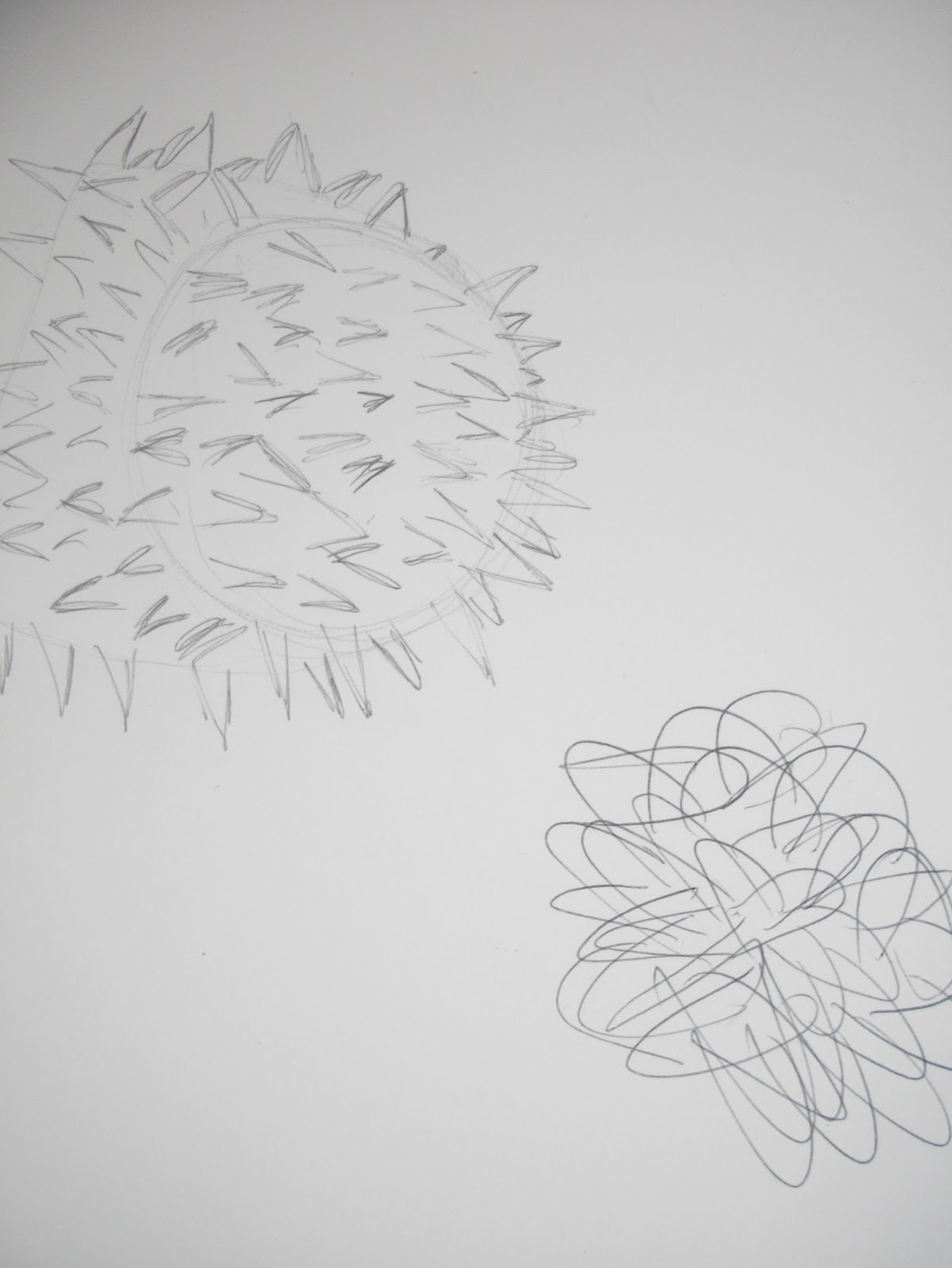 De La Salle Residency: Year 10 observational and continual line drawings.